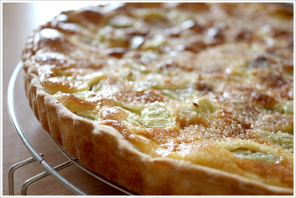 Tarte à la Rhubarbe Fondante : La Meilleure Recette | Jepopote.fr